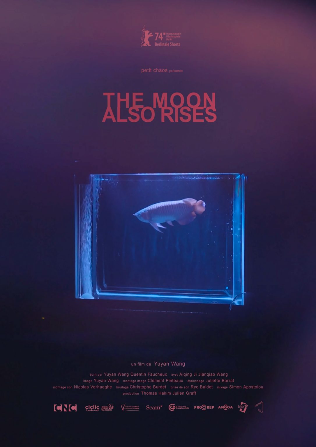 Coming of Age 2024 – The Moon Also Rises