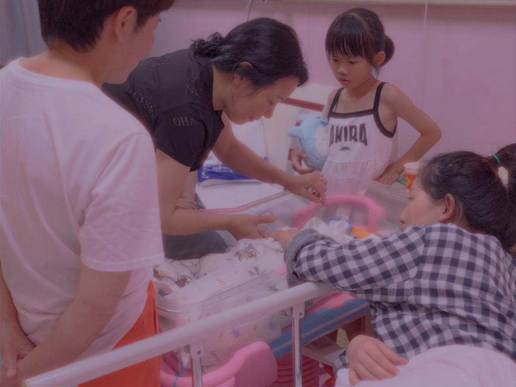 Coming of Age 2025 – About the Pink Cocoon
